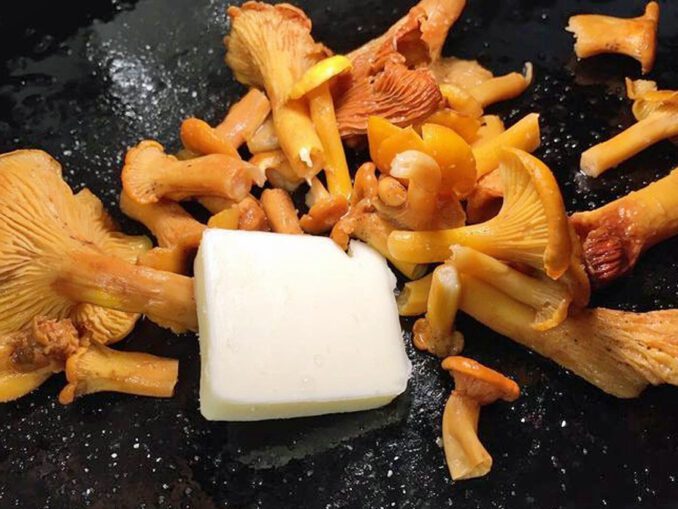 Liste des champignons comestibles - Chasseurs de champignons